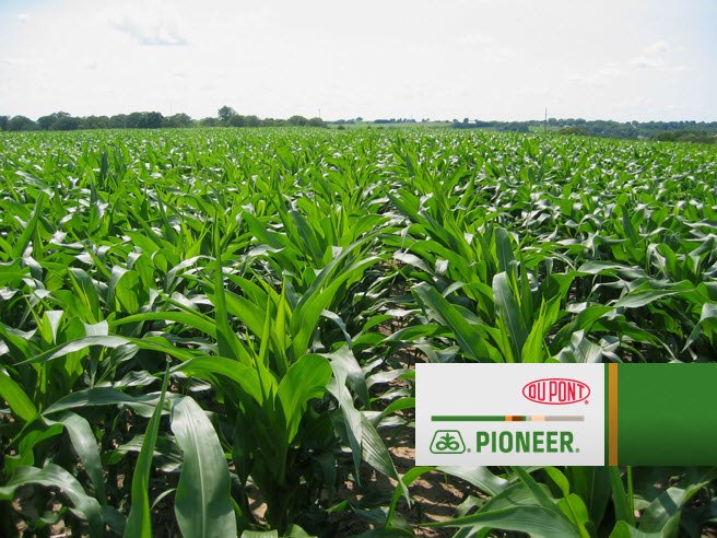 Grover Grain & Seed – Offering Pioneer Seed, Precision Planting ...